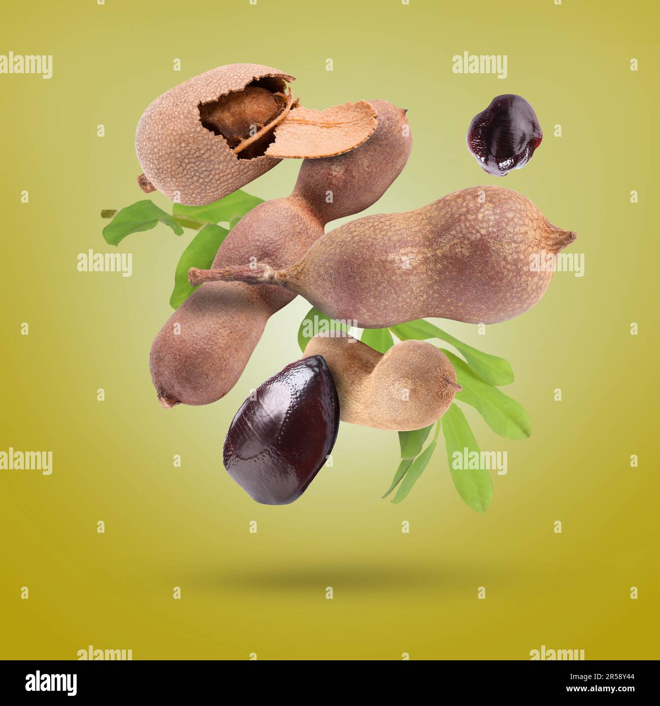 Ripe tamarind pods, seeds and leaves falling on golden background Stock ...