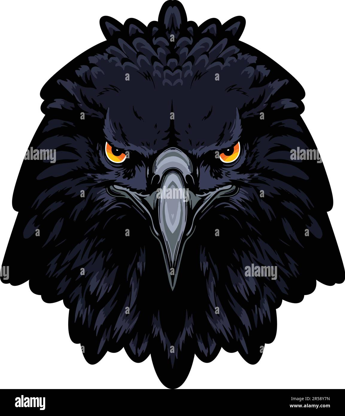 Eagle Face Illustration. Sky. Fly. Vector Stock Vector Image & Art - Alamy