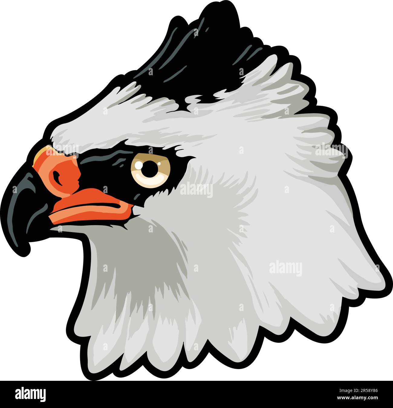 Eagle Face Illustration. Sky. Fly. Vector Stock Vector Image & Art - Alamy