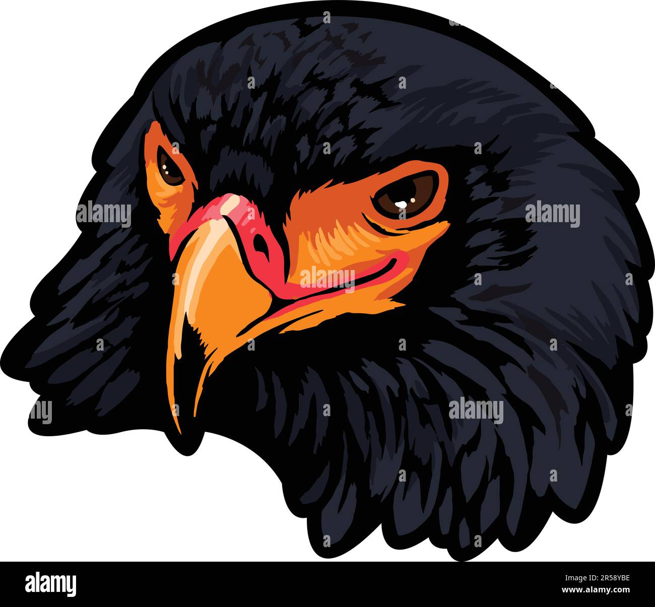 Eagle Face Illustration. Sky. Fly. Vector Stock Vector Image & Art - Alamy