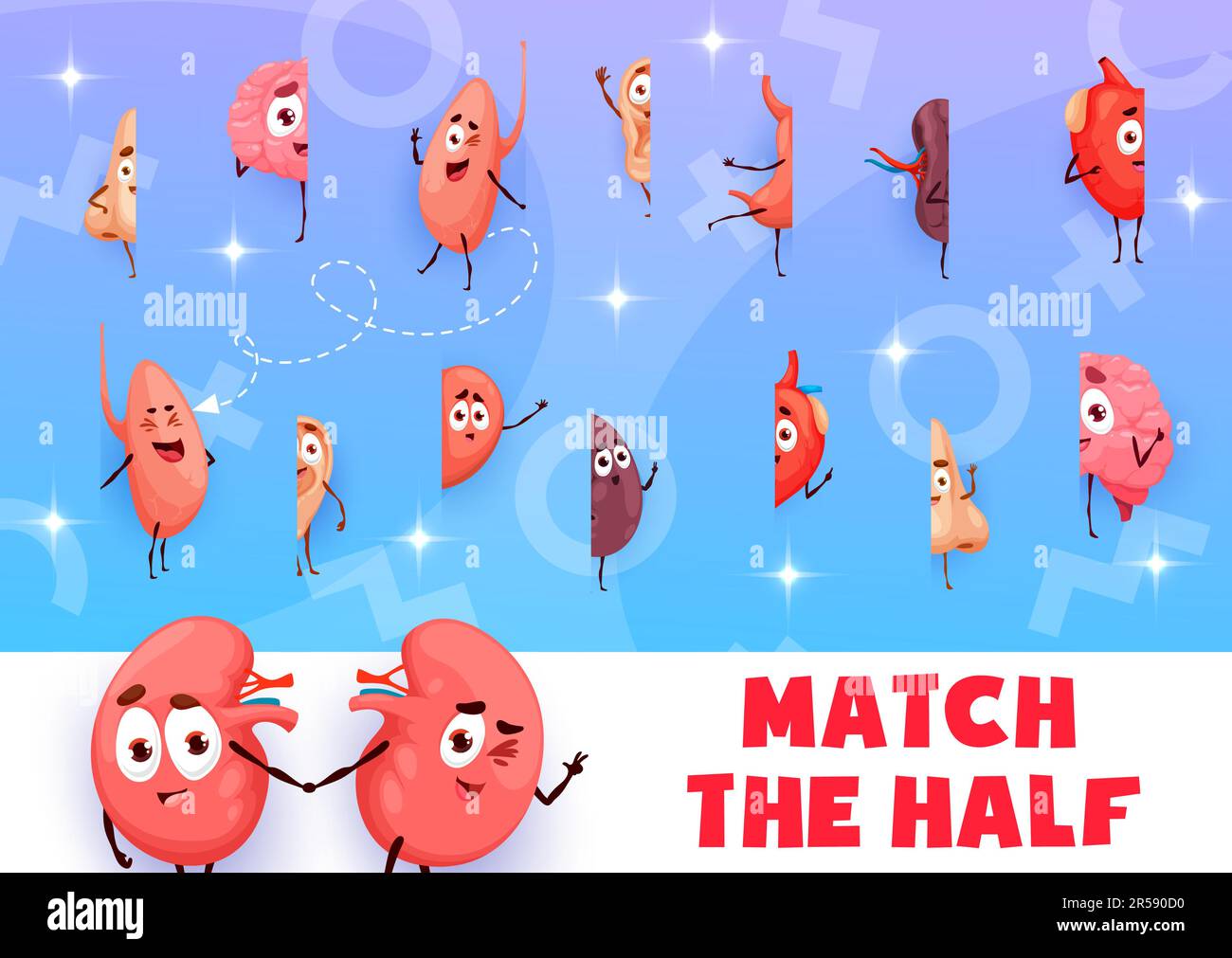 Match the half of cartoon human organ characters. Vector game worksheet ...