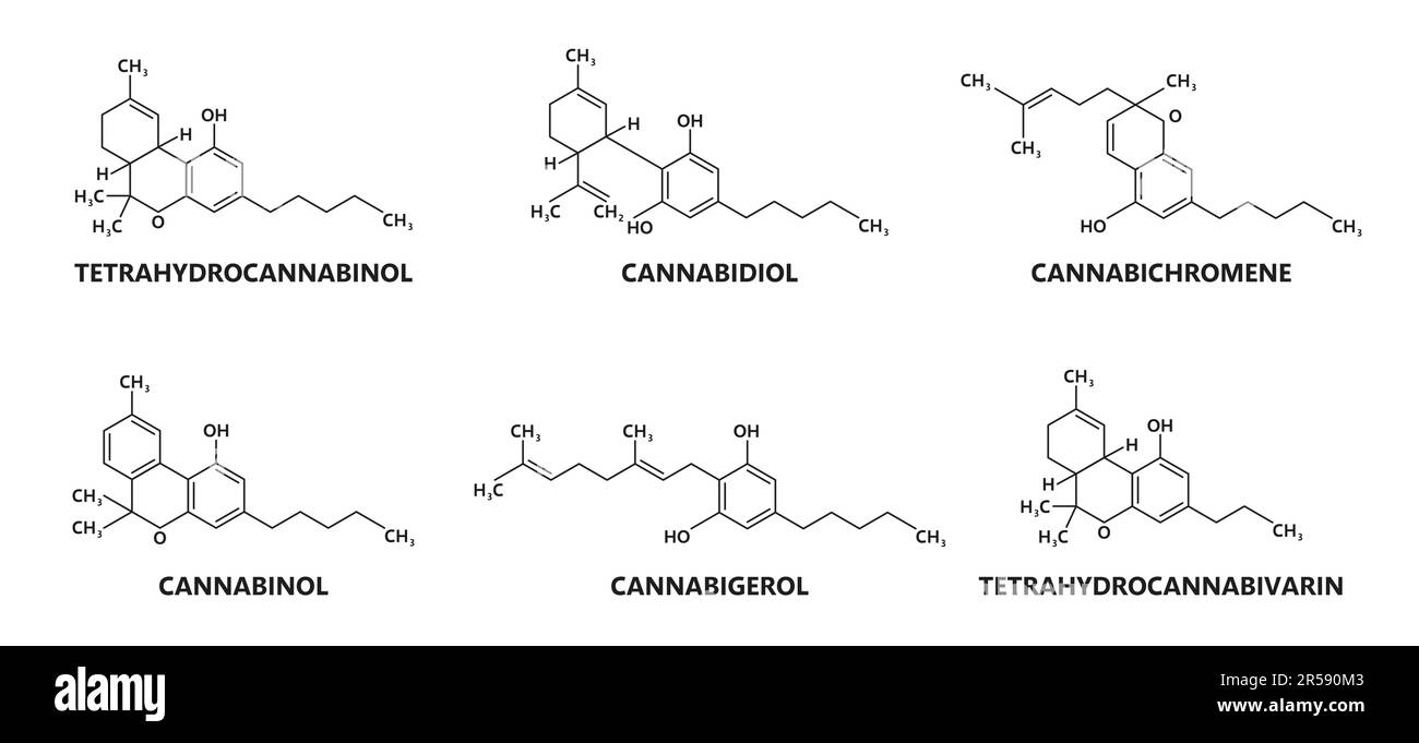 Cannabinoid molecule structure. Cannabinoid compound vector formula ...