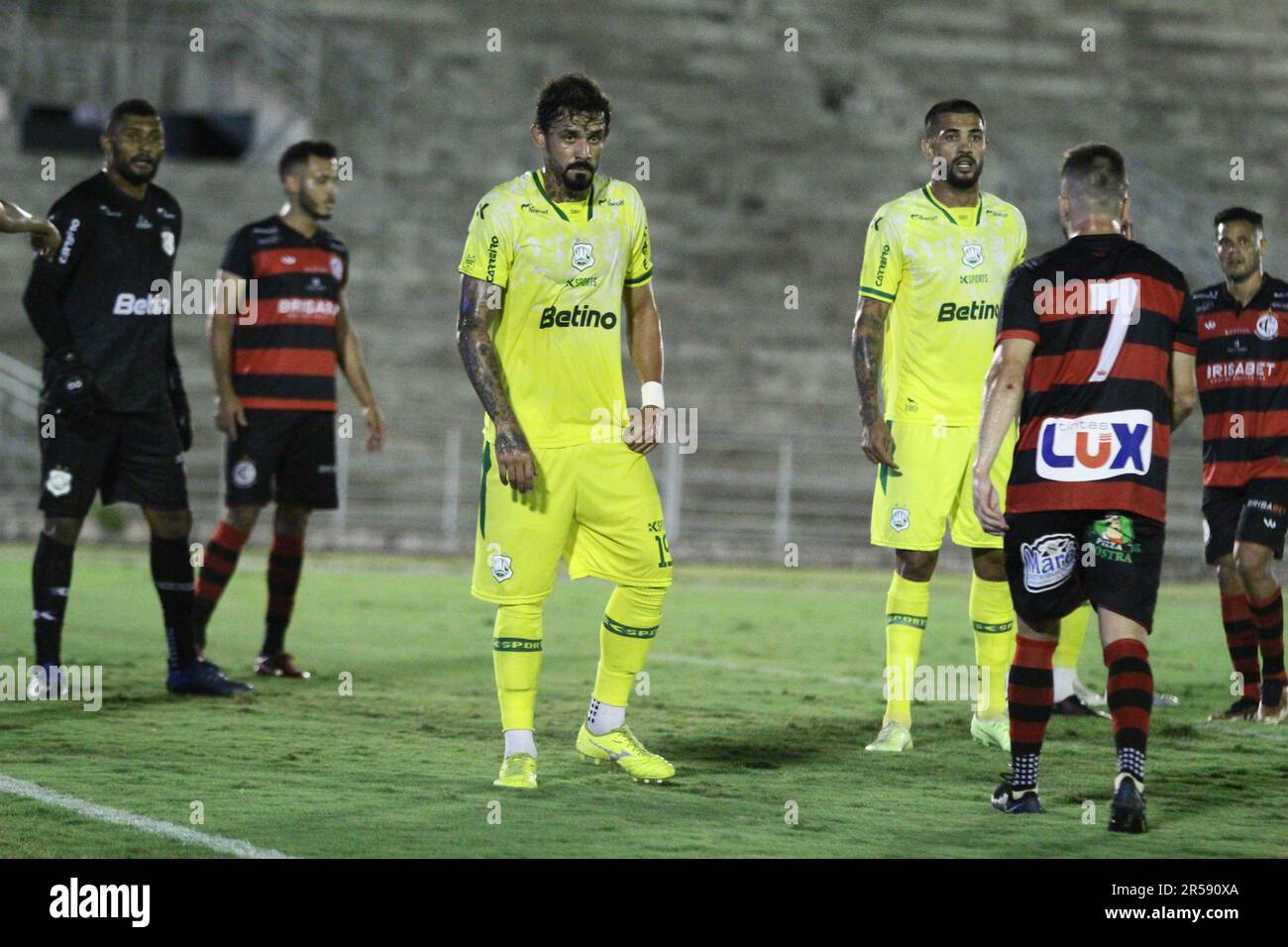 Patos campina hi-res stock photography and images - Alamy