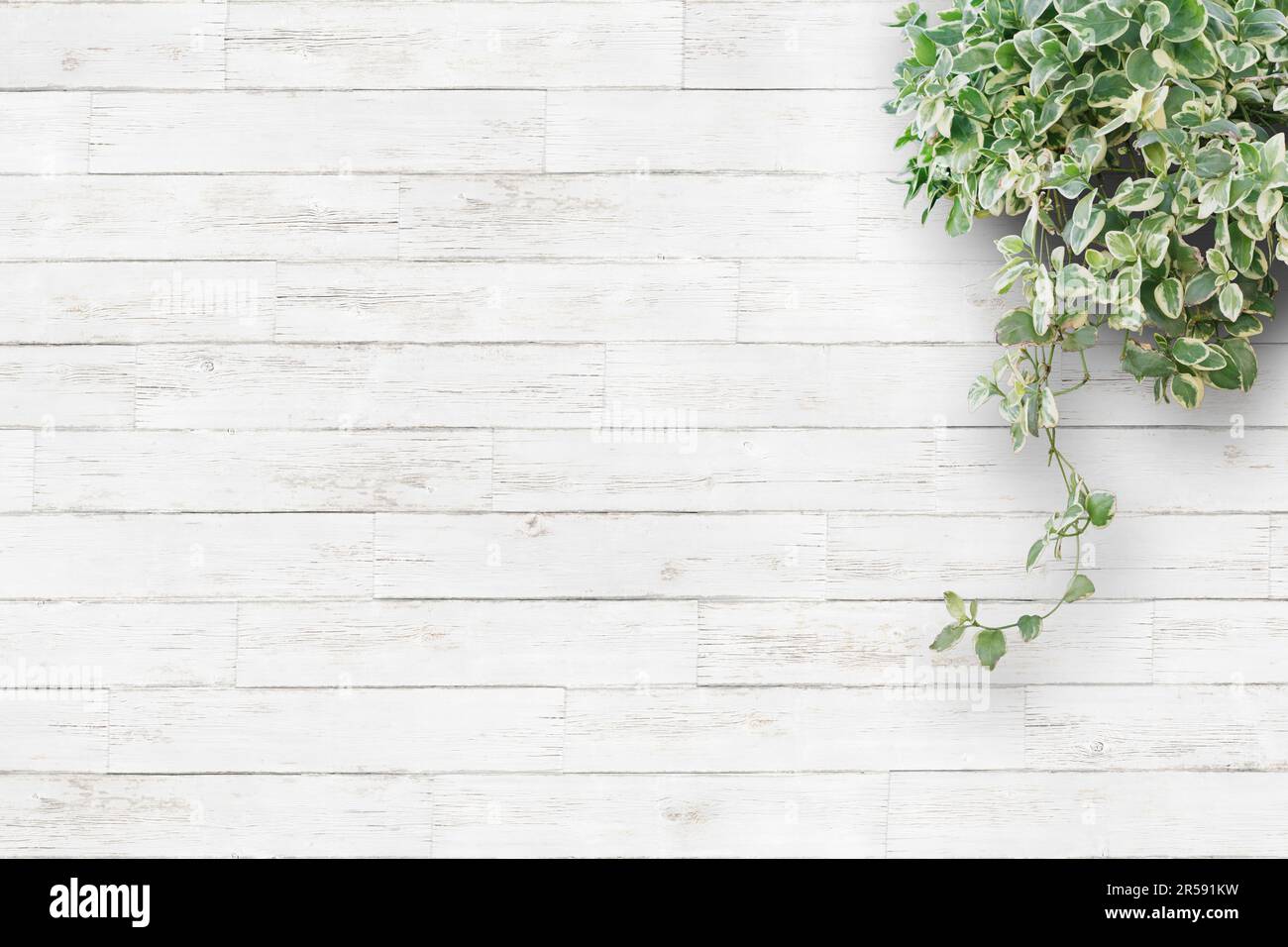 Faint background hi-res stock photography and images - Alamy