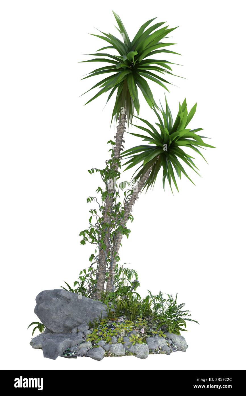 Palm branch standing Cut Out Stock Images & Pictures - Alamy