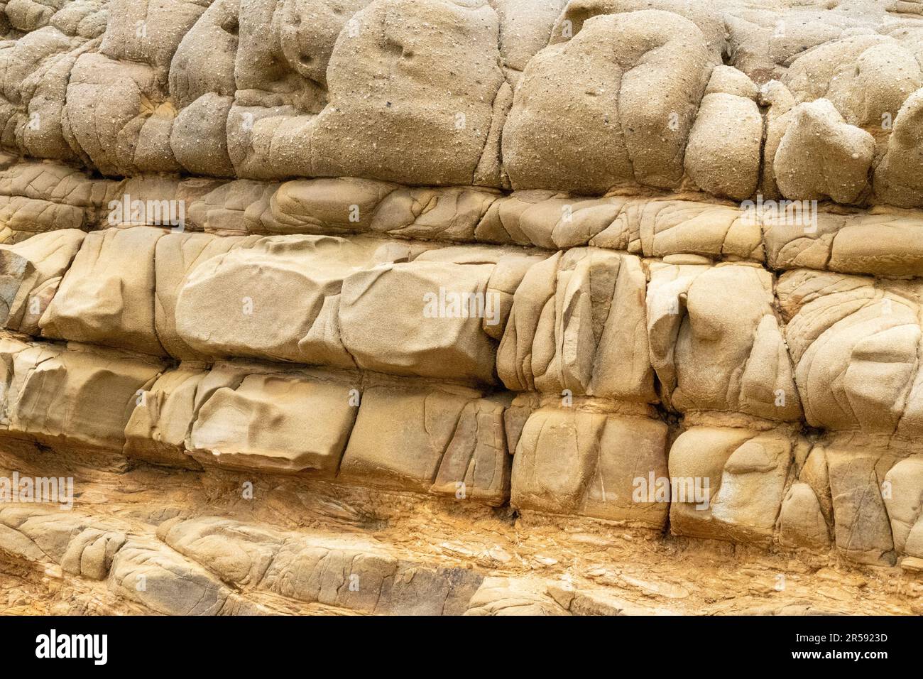 Sandstone layers at Salt Point State Park, California, USA, viewed from ...
