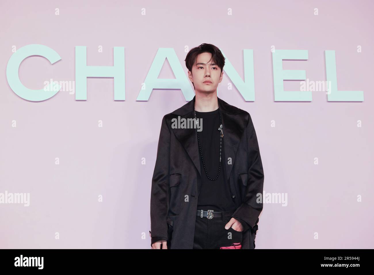 Wang Yibo attends the photocall of the Chanel Metiers d'Art 2022/23 ...
