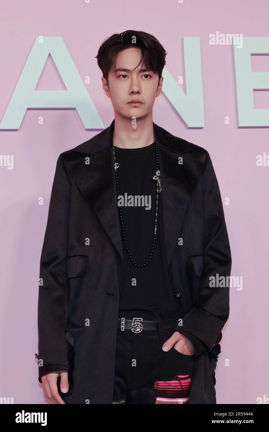 Wang Yibo attends the photocall of the Chanel Metiers d'Art 2022/23 ...
