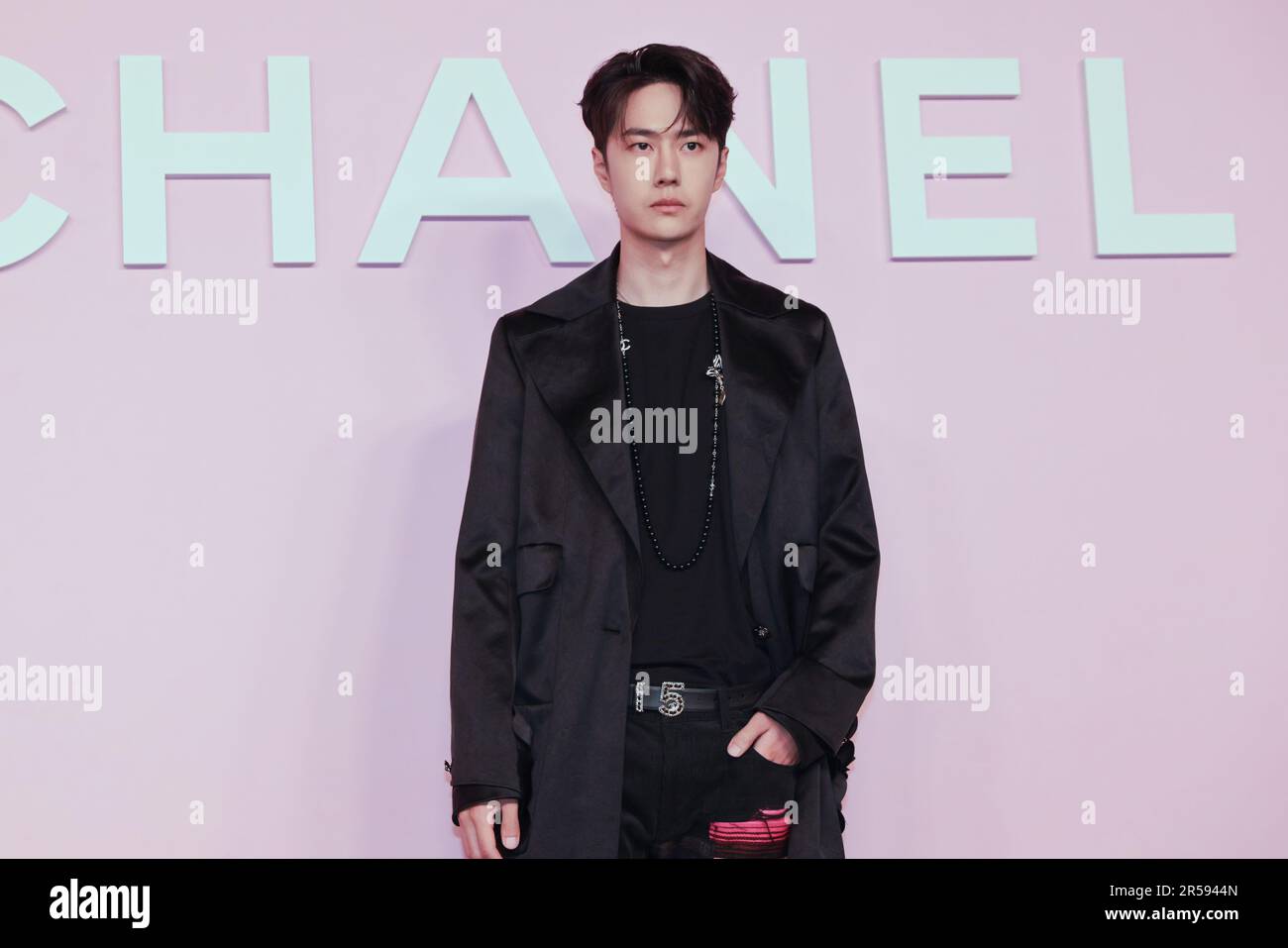 Wang Yibo attends the photocall of the Chanel Metiers d'Art 2022/23 ...