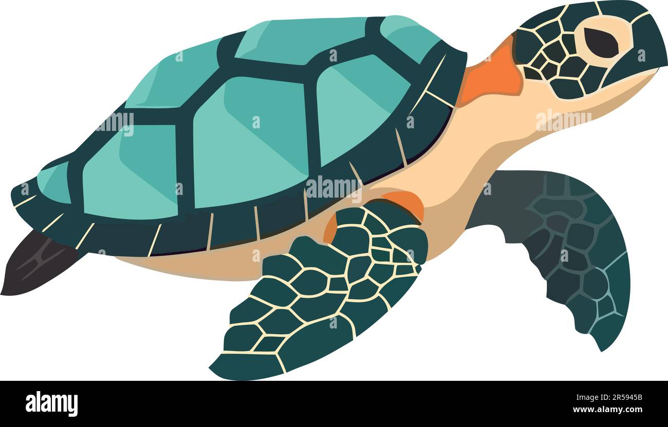 Slow and steady turtle swims in blue water isolated Stock Vector Image ...