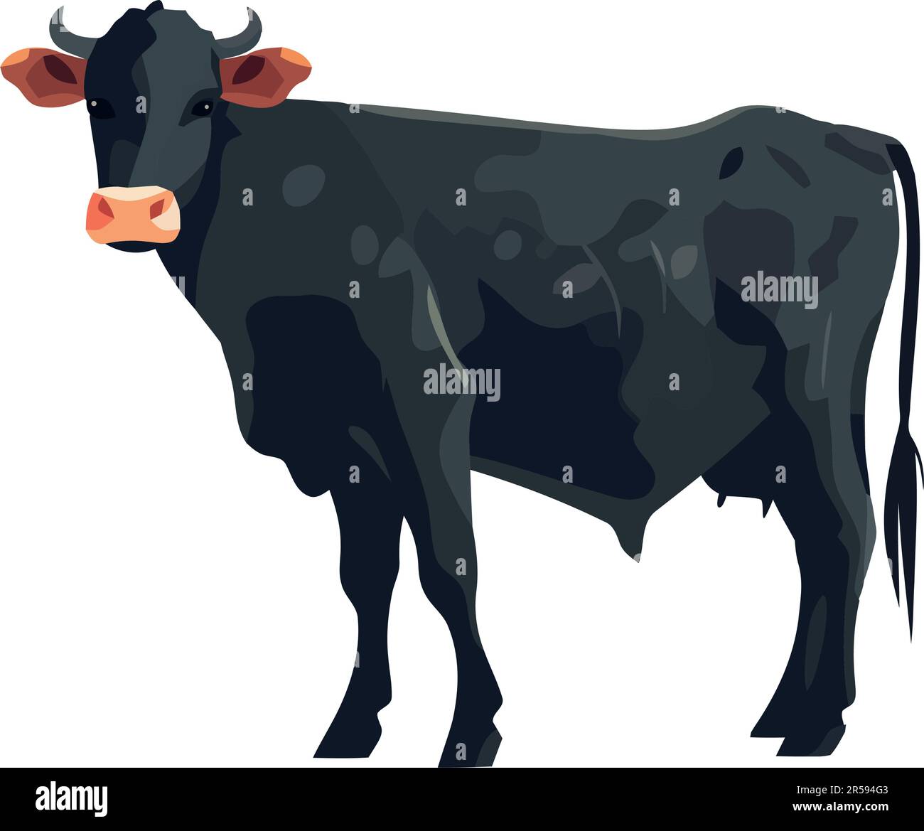 Cute Holstein cattle farm animal Stock Vector Image & Art - Alamy