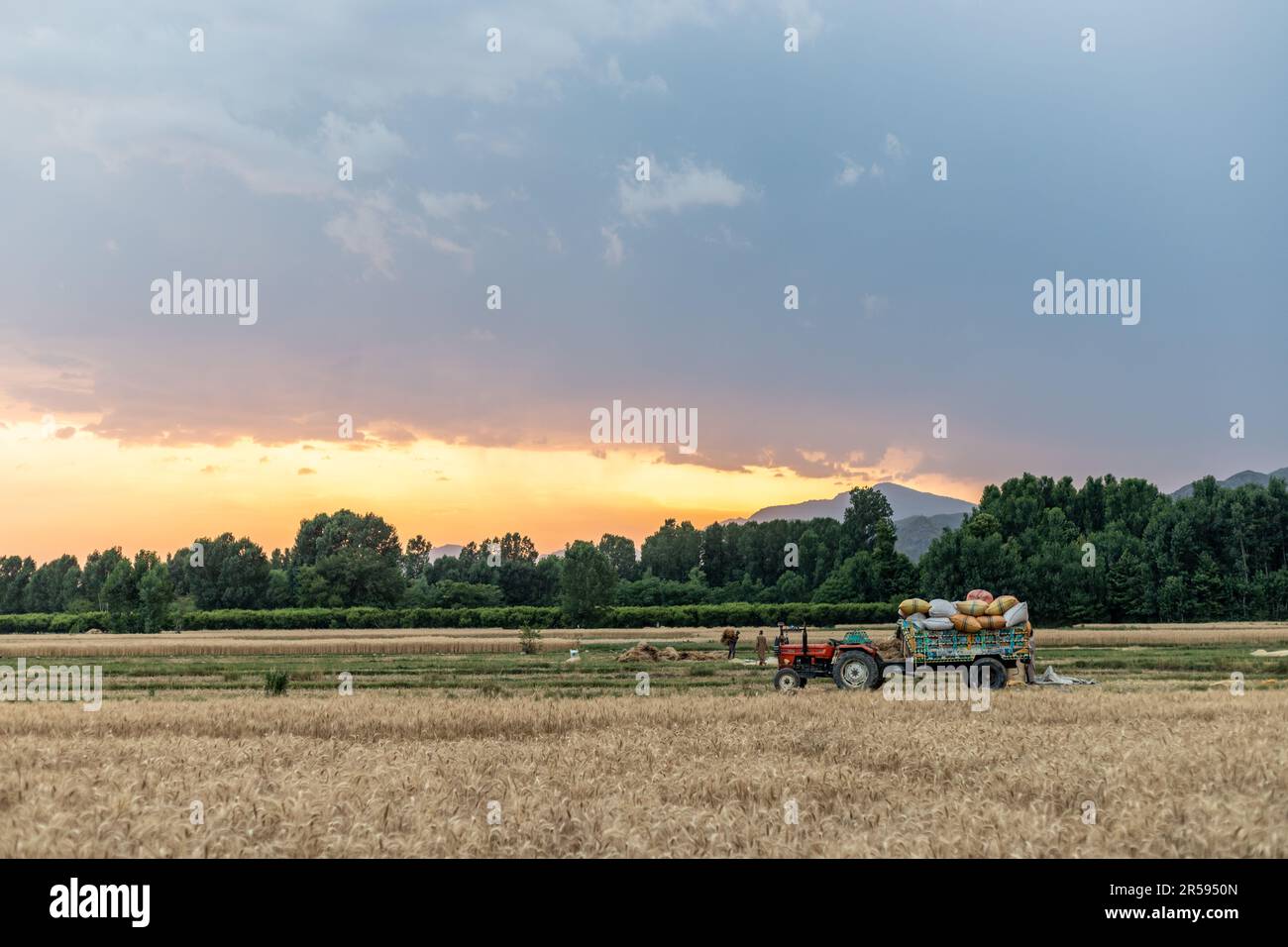 Tractor trolley hi-res stock photography and images - Alamy