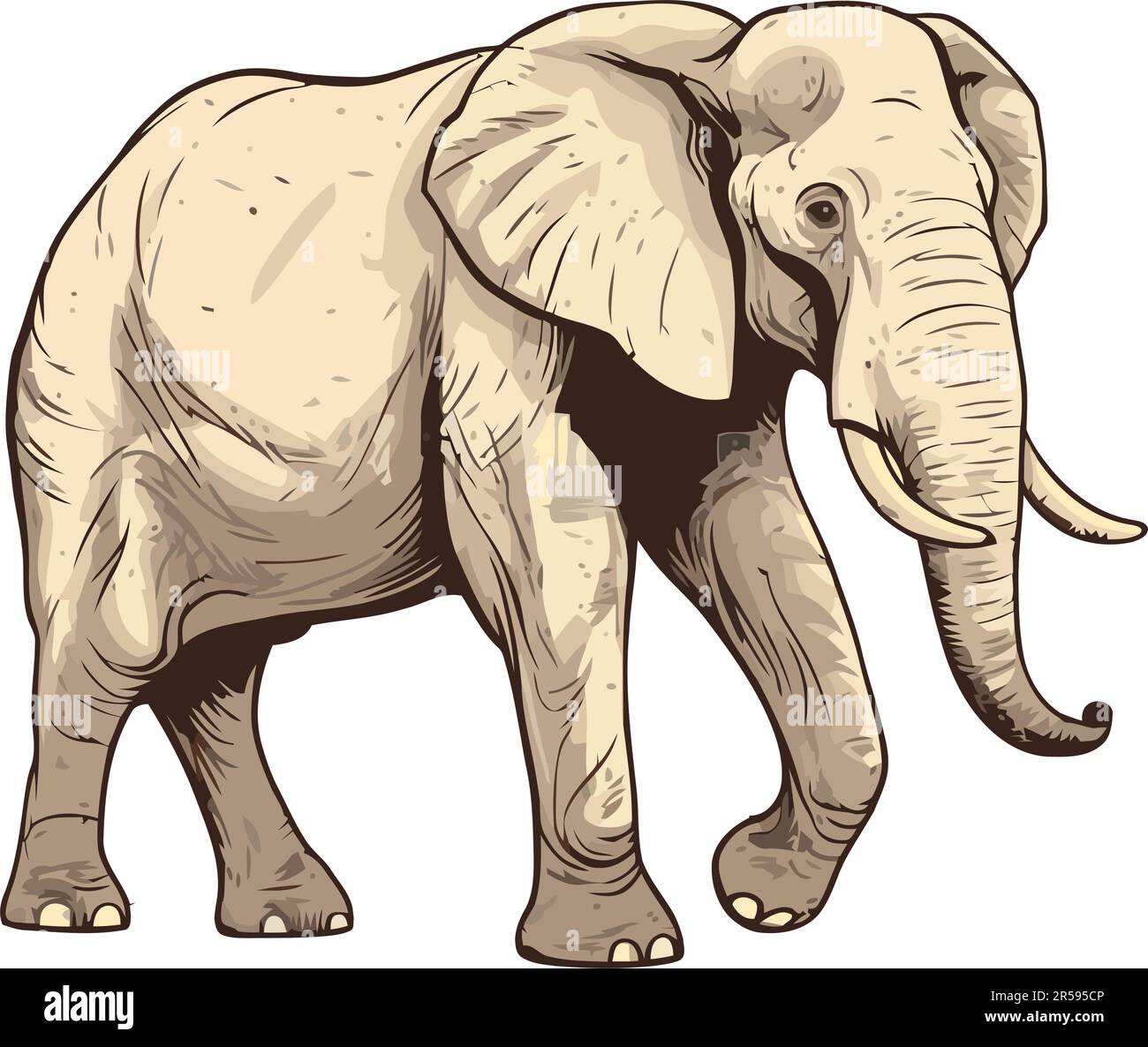 Large African elephant walking, on white isolated Stock Vector Image ...