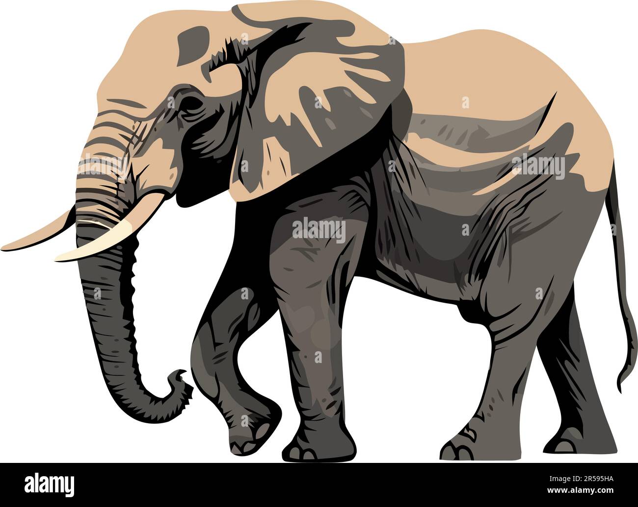 Large African elephant standing isolated Stock Vector Image & Art - Alamy