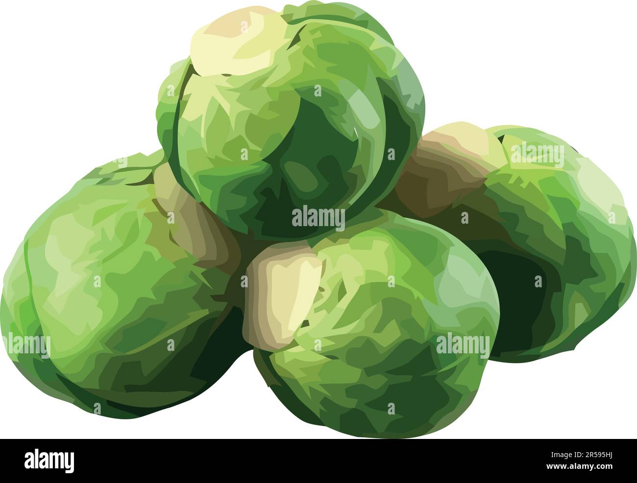 Fresh organic kale, healthy eating symbol Stock Vector Image & Art - Alamy