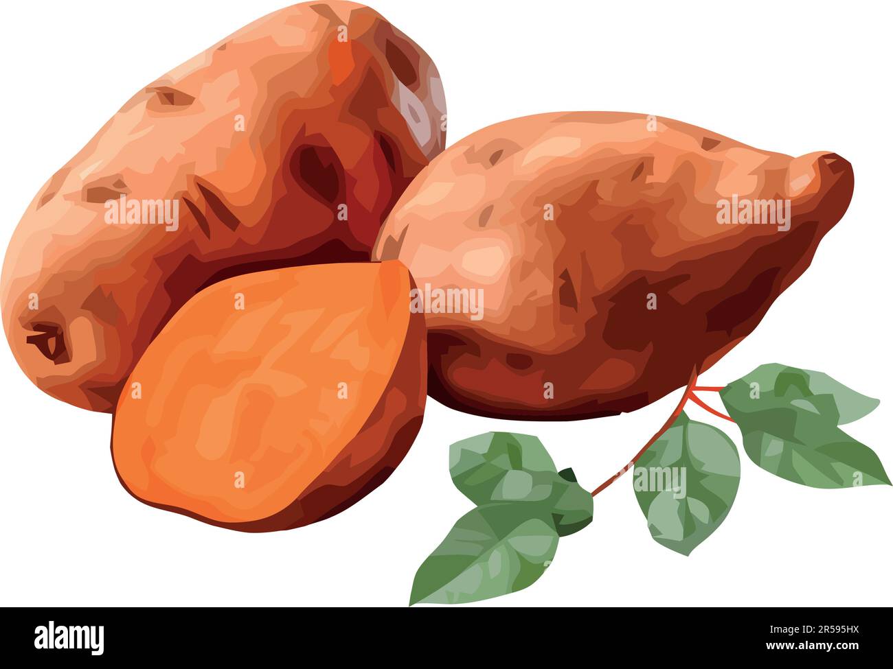 Fresh organic potato illustration vector Stock Vector Image & Art - Alamy
