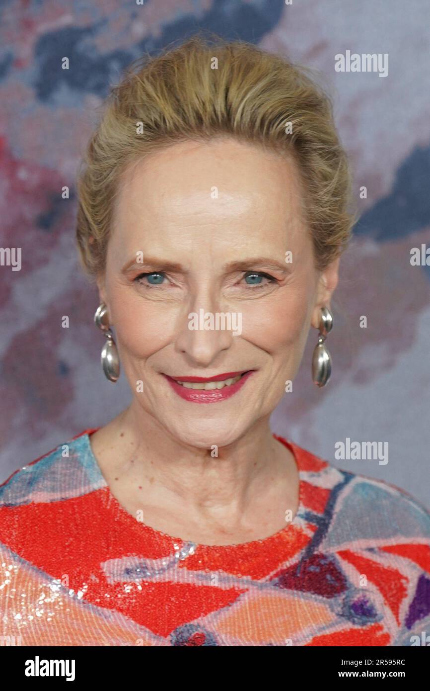 New York, NY, USA. 1st June, 2023. Laila Robins at arrivals for THE ...