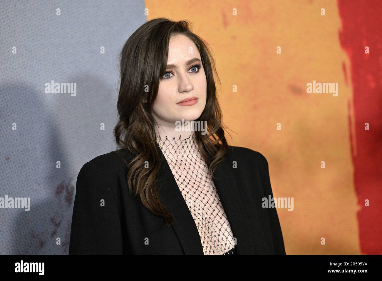 Nuala Cleary attends the Apple TV+ limited series premiere of "The ...