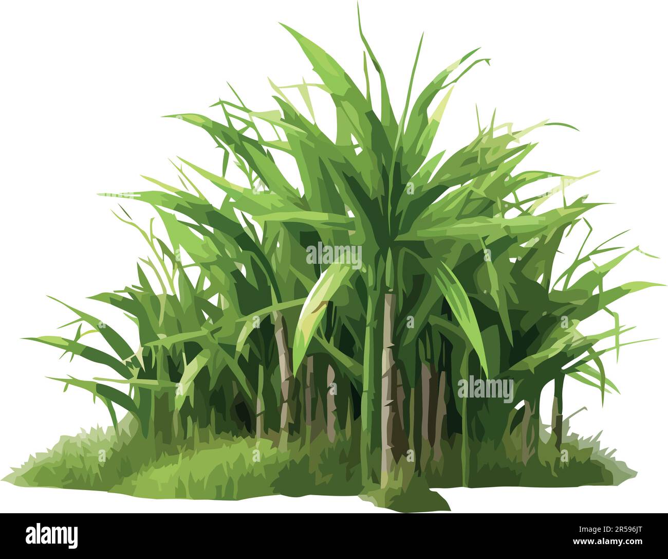Fresh green grass grows in nature bamboo Stock Vector Image & Art - Alamy