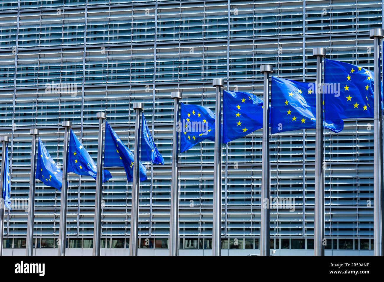 flags of the European Union in front of a building Stock Photo - Alamy