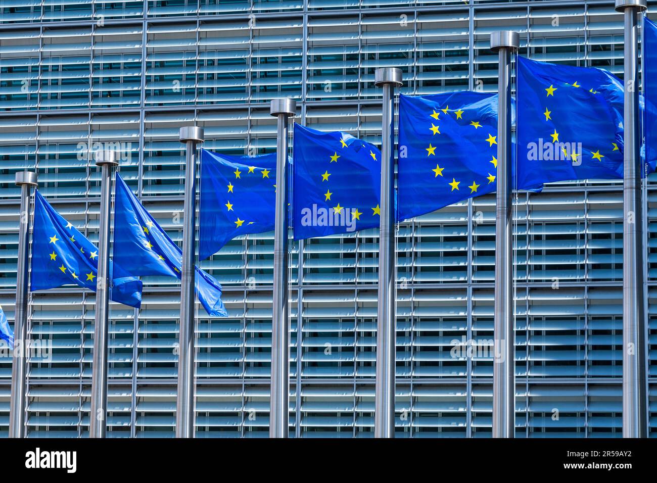 flags of the European Union in front of a building Stock Photo - Alamy