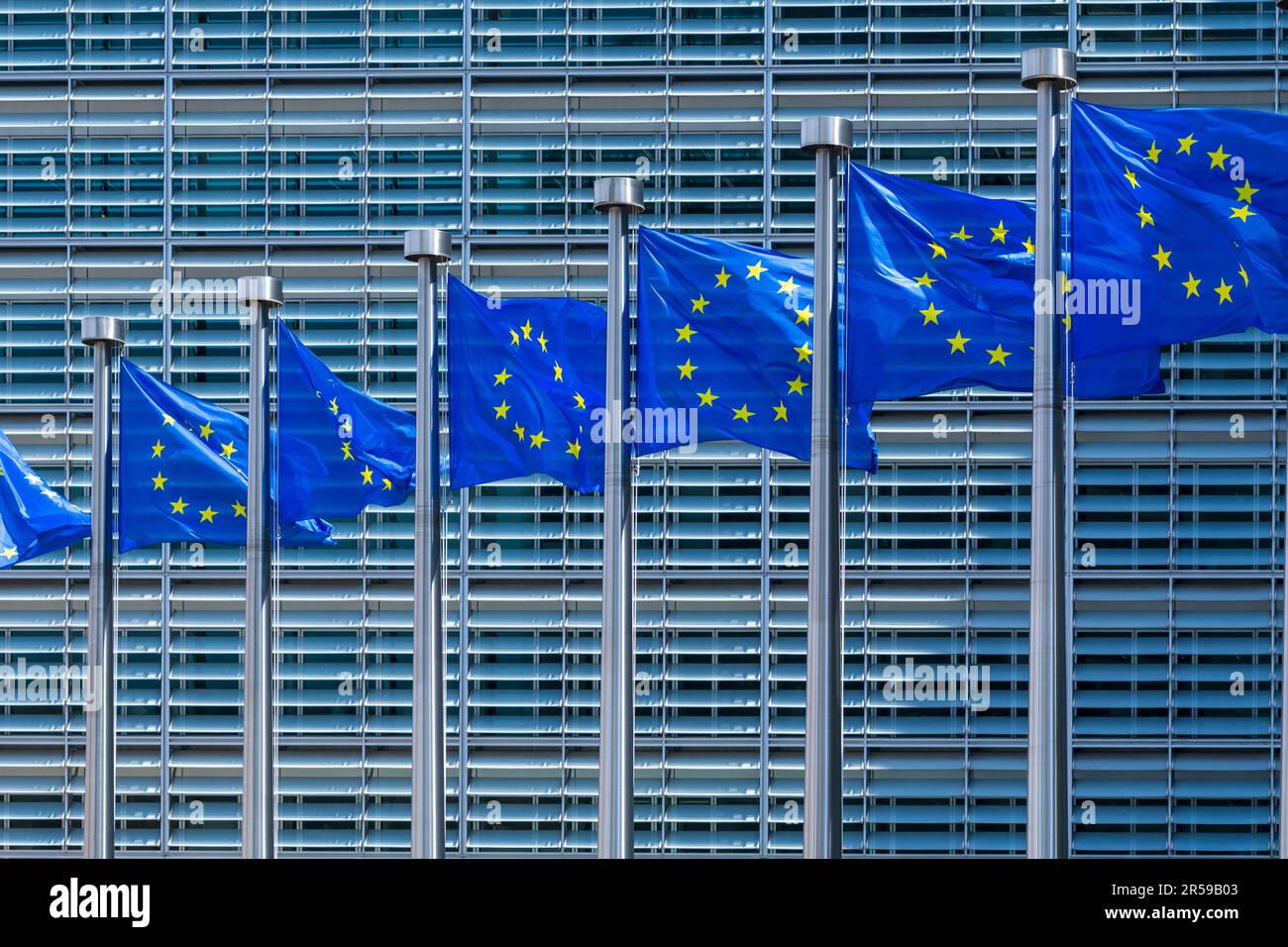 flags of the European Union in front of a building Stock Photo - Alamy