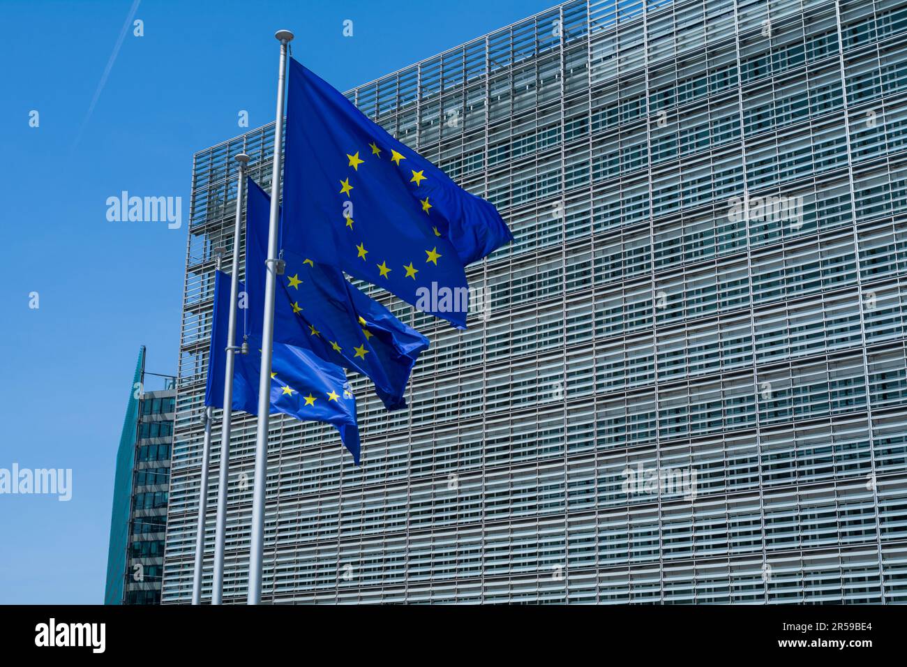 flags of the European Union in front of a building Stock Photo - Alamy