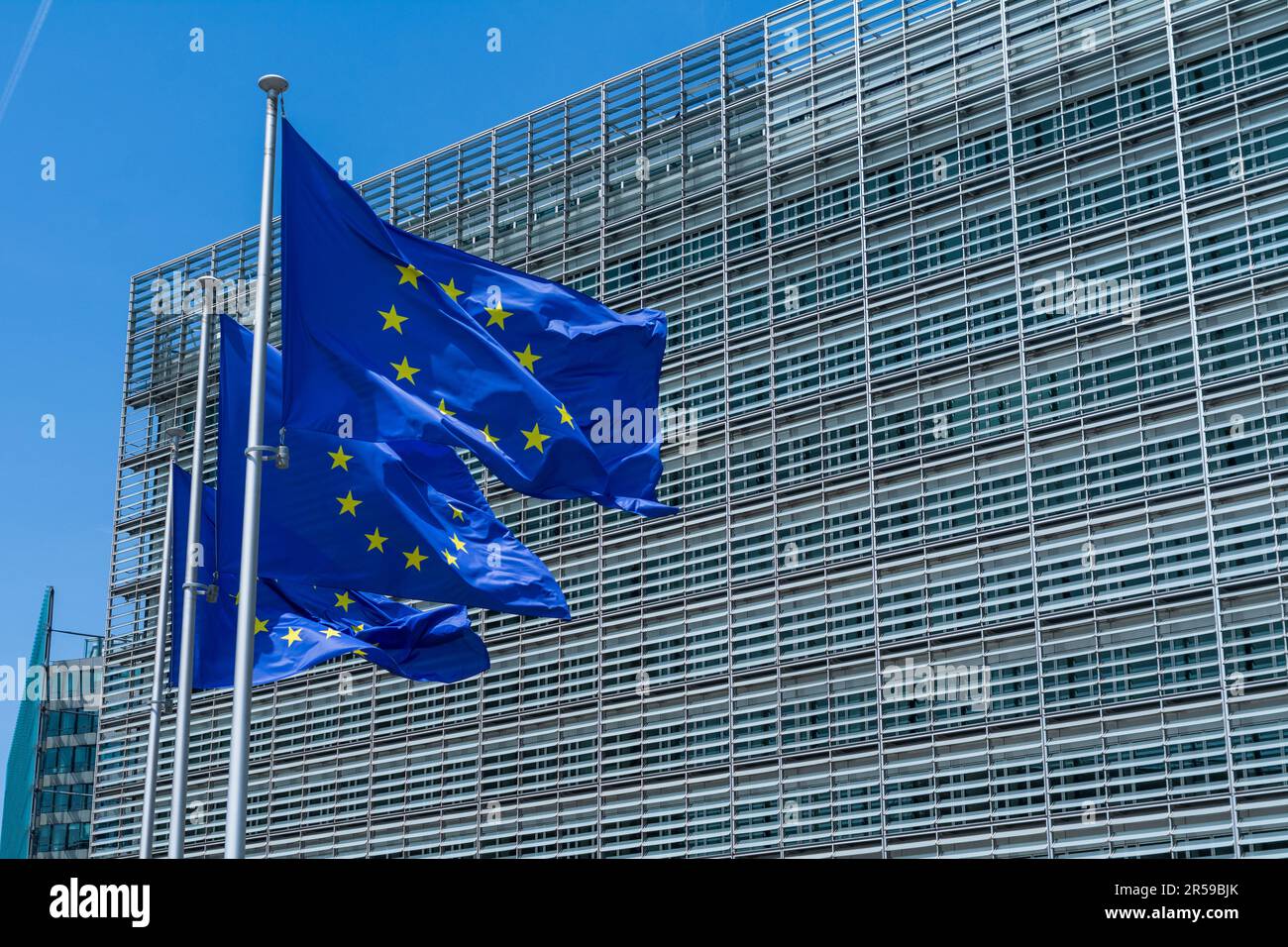 flags of the European Union in front of a building Stock Photo - Alamy