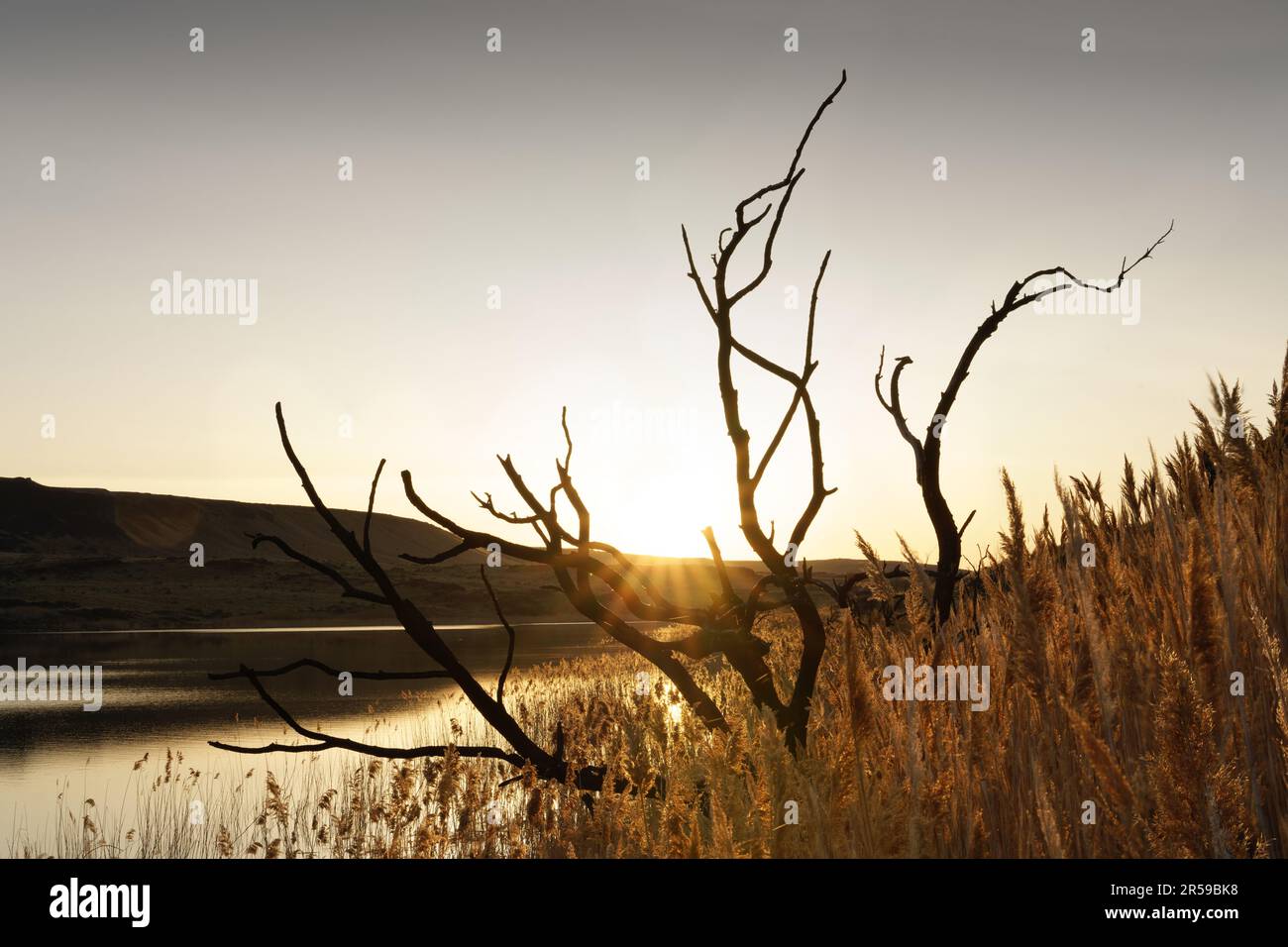 Crab creek wildlife area hi-res stock photography and images - Alamy