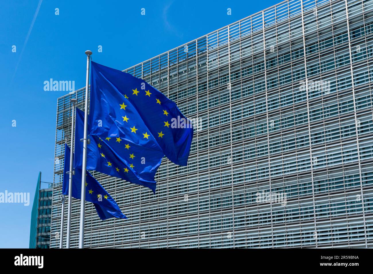 flags of the European Union in front of a building Stock Photo - Alamy