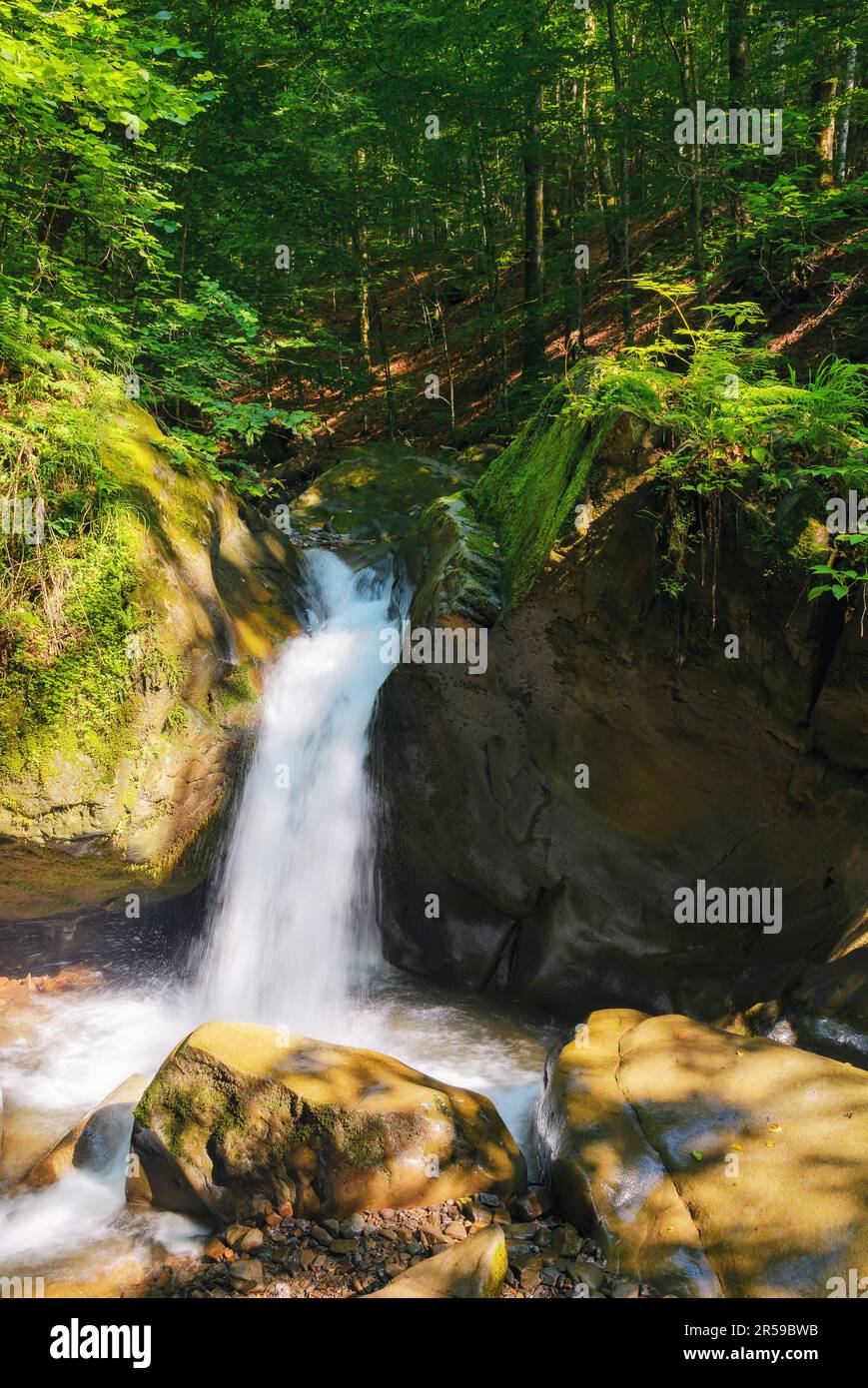 waterfall among the rocks in the forest. beautiful nature background in ...