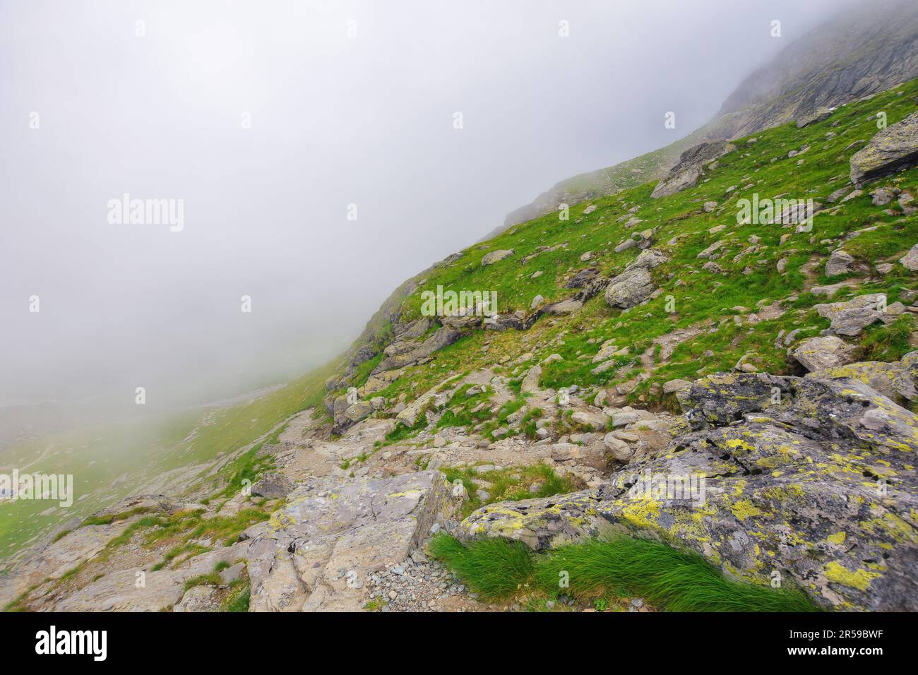 nature landscape on a foggy day. mountainous scenery in summer ...