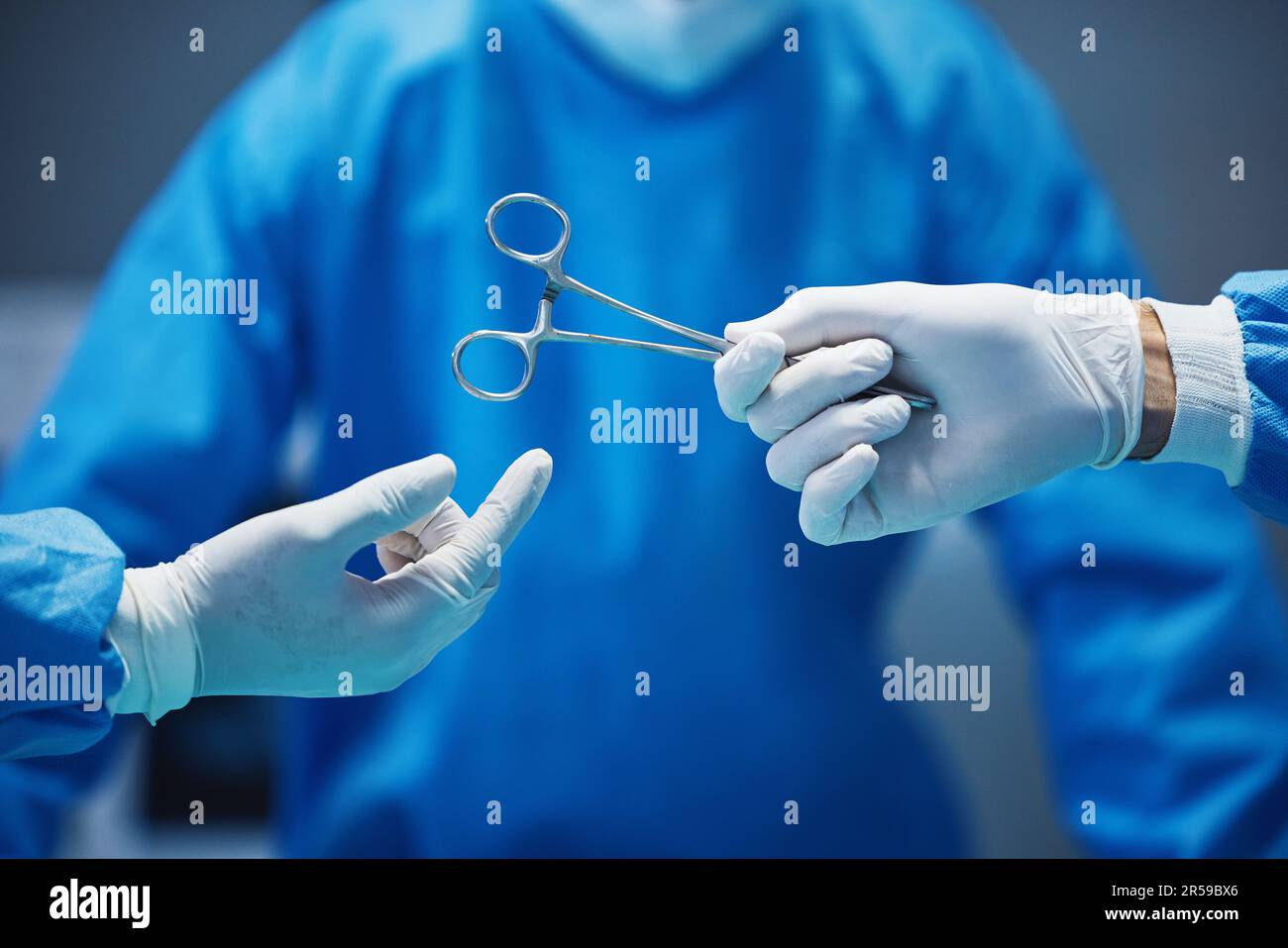 Surgery, nurse hands doctor scissors with medicine and surgical ...