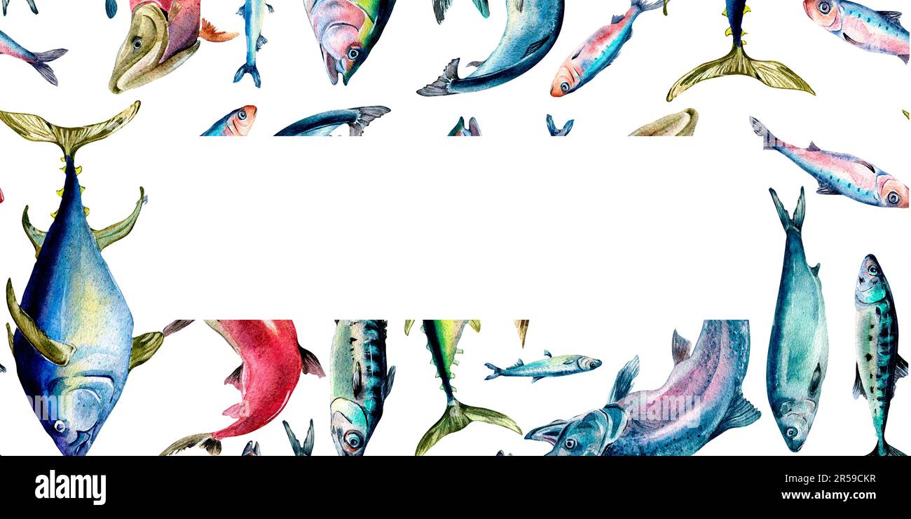 Frame of various fresh sea fish watercolor illustration isolated on ...