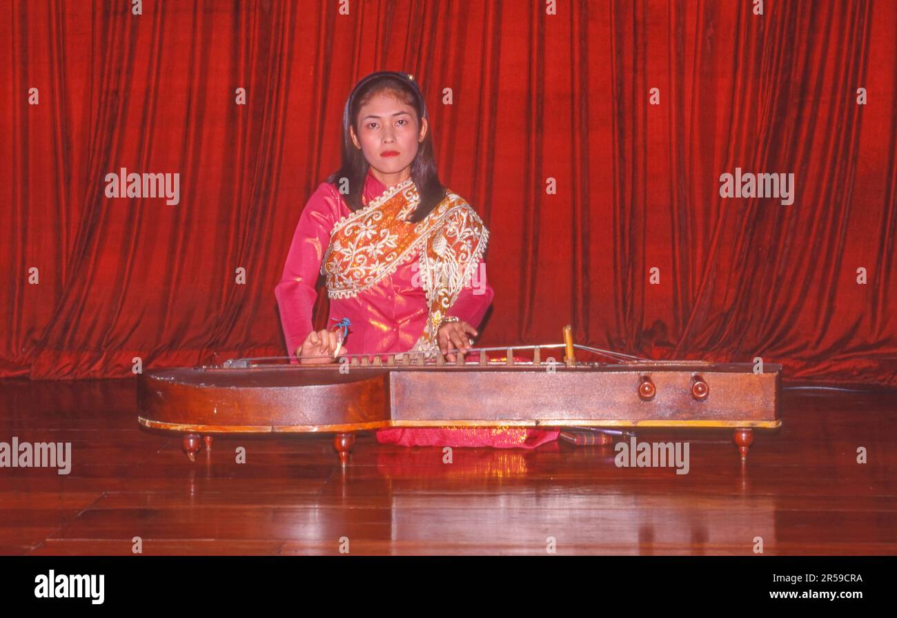 Zither crocodile hi-res stock photography and images - Alamy