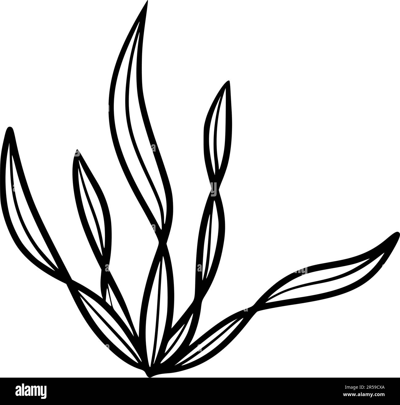 Seaweed spirulina marine plant black silhouette vector icon. Simple aquarium seaweed hand drawn ...