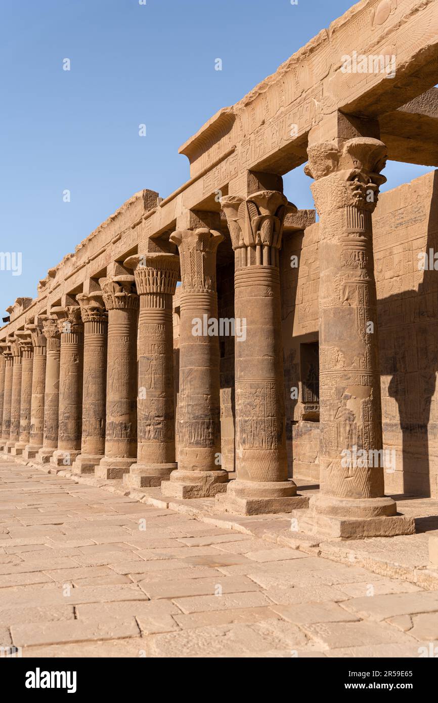 Tall pillars of ancient temple in south egypt Stock Photo - Alamy