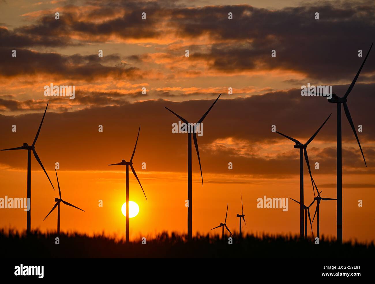 Jacobsdorf, Germany. 01st June, 2023. A wind farm in the sunset ...