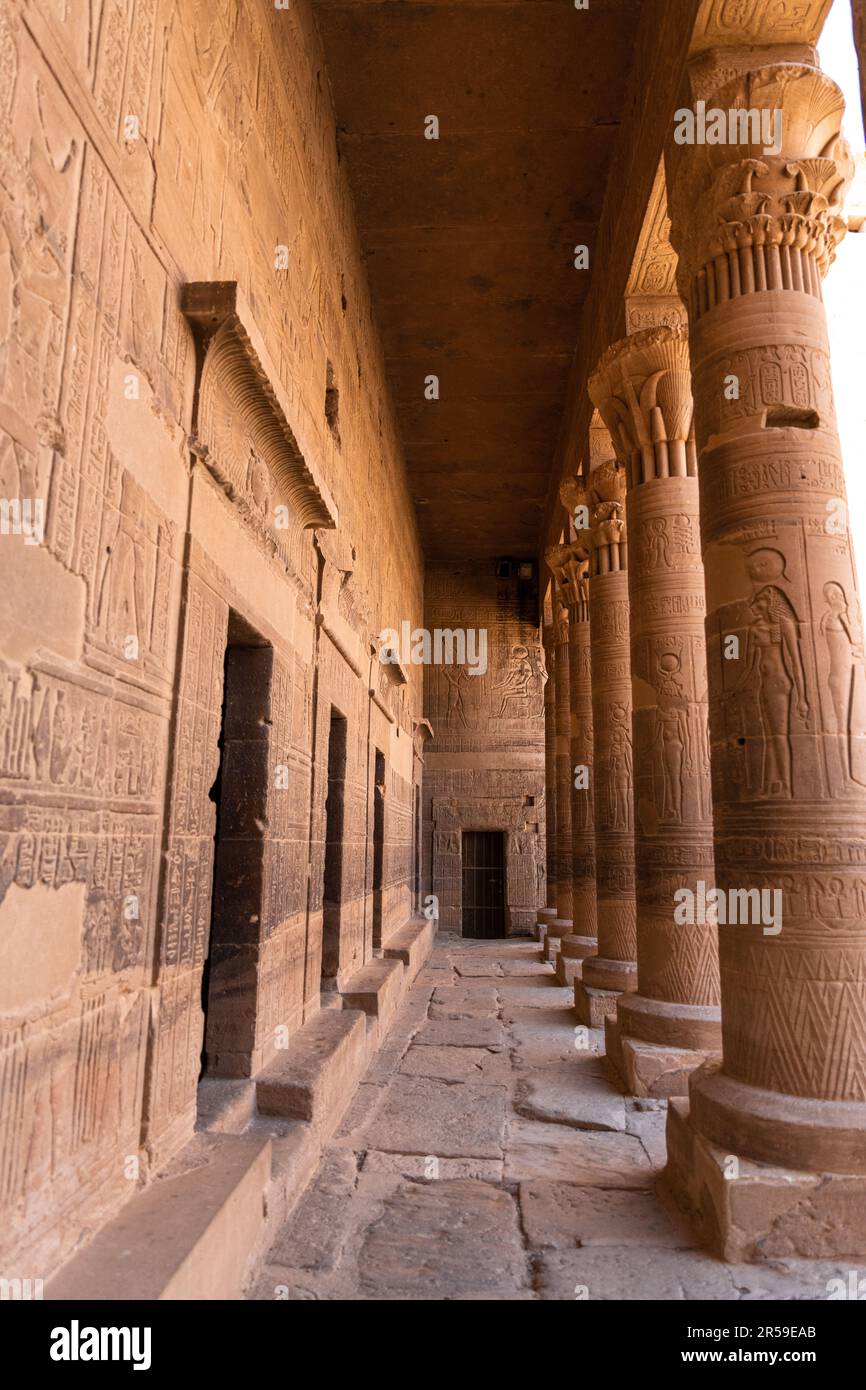 Tall pillars of ancient temple in south egypt Stock Photo - Alamy