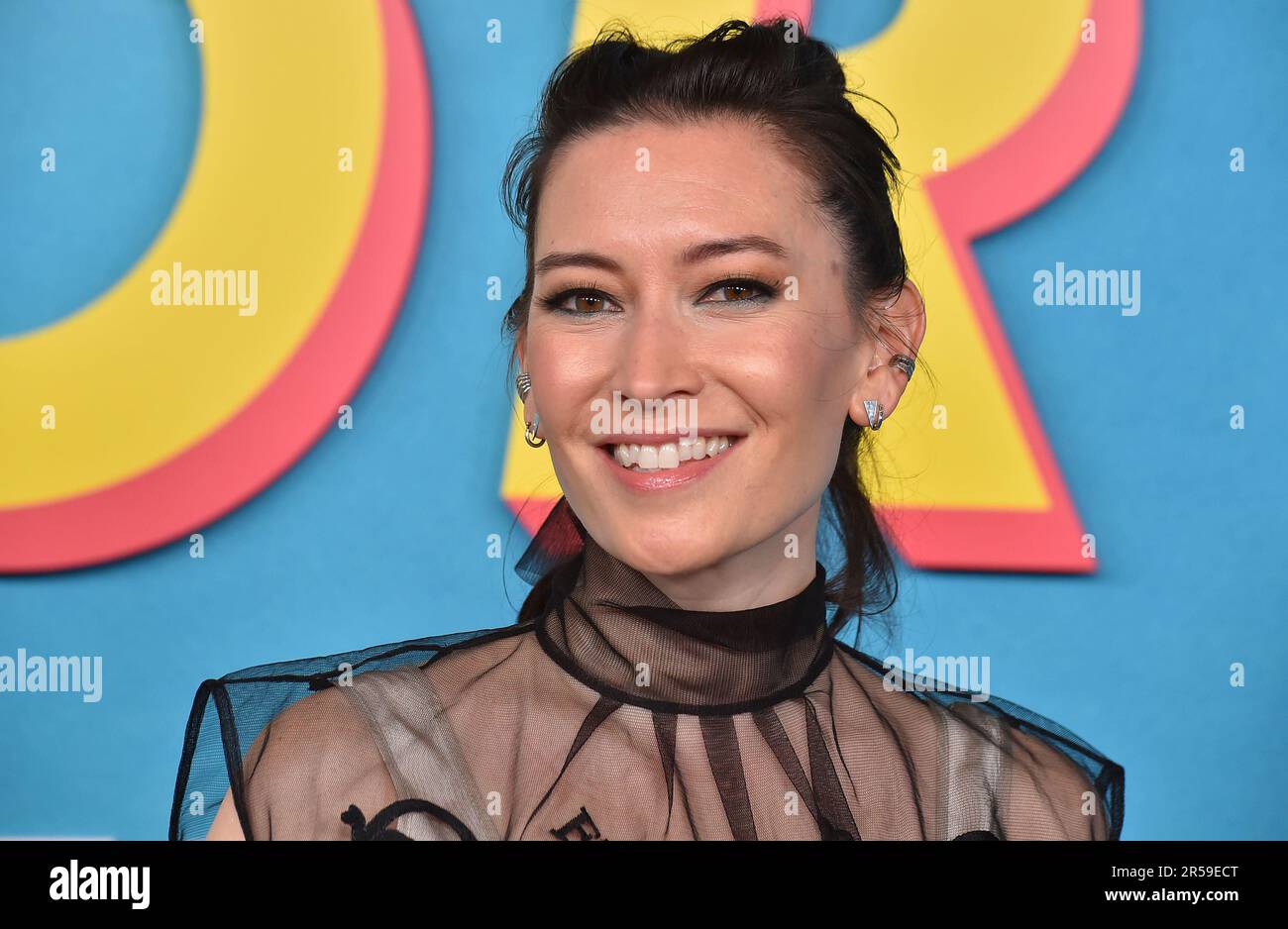 Sherri Chung arrives at the Los Angeles premiere of "Based on a True ...