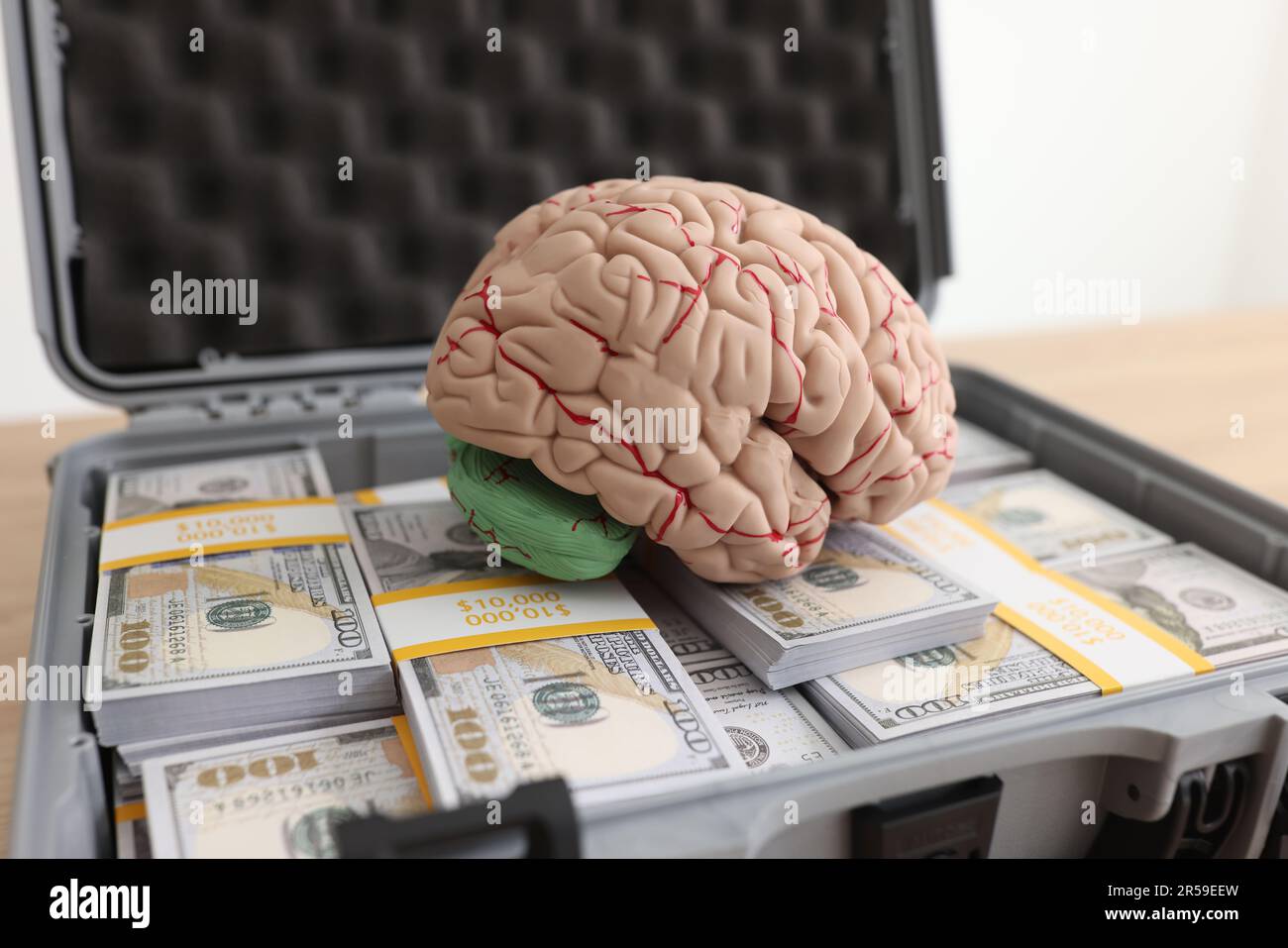 Artificial model of human brain lying on stacks of money Stock Photo ...