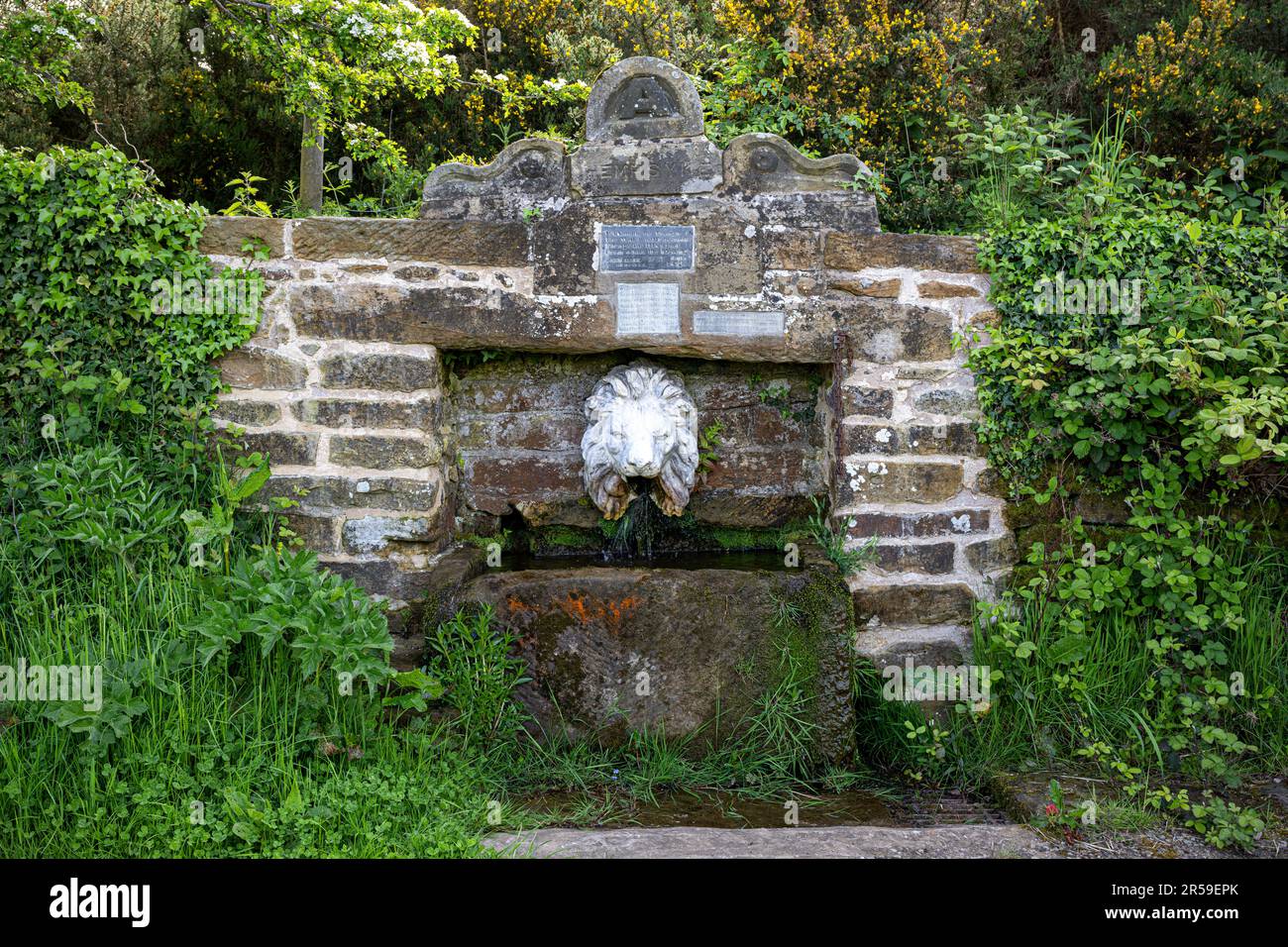 Roadside old stone font with lion head and natural spring water North ...