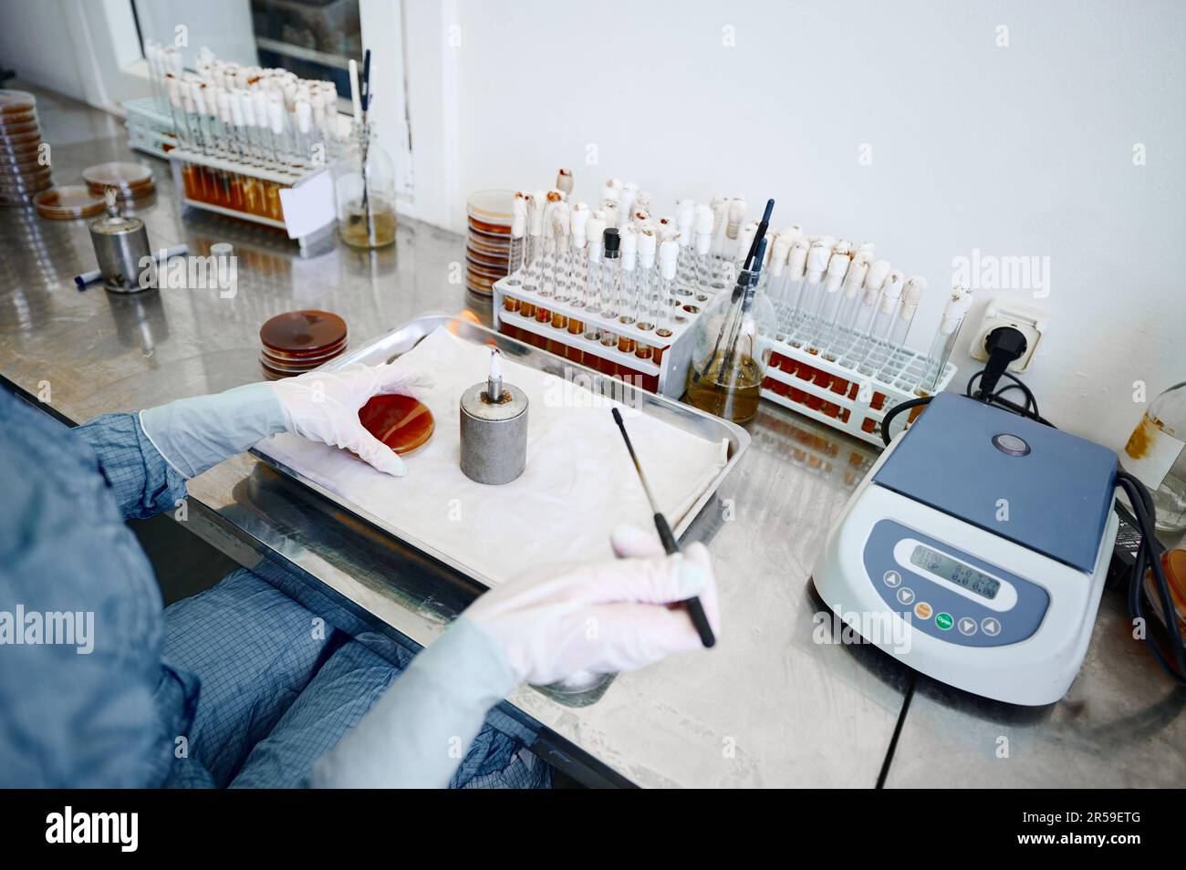 Laboratory technician examining samples hi-res stock photography and ...