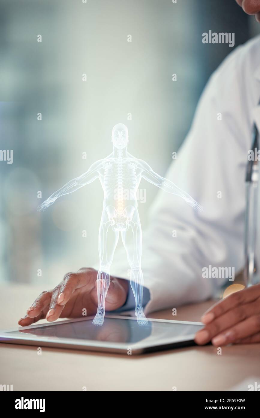 Tablet, digital hologram and doctor hands for anatomy, human body and ...