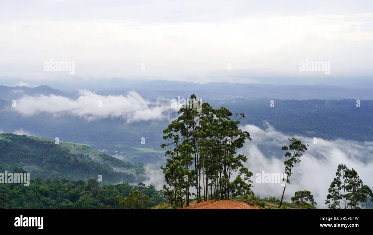 Kolukkumalai range hi-res stock photography and images - Alamy