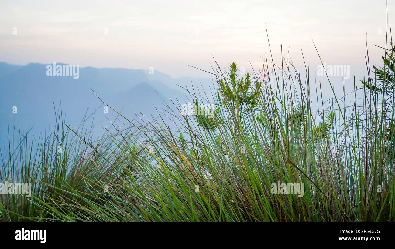Kolukkumalai Sunrise View Point Munnar - Idukki, Kerala Stock Photo - Alamy