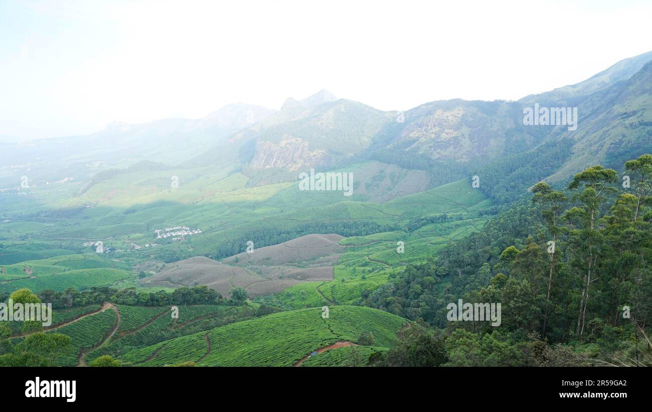 Kolukkumalai range hi-res stock photography and images - Alamy