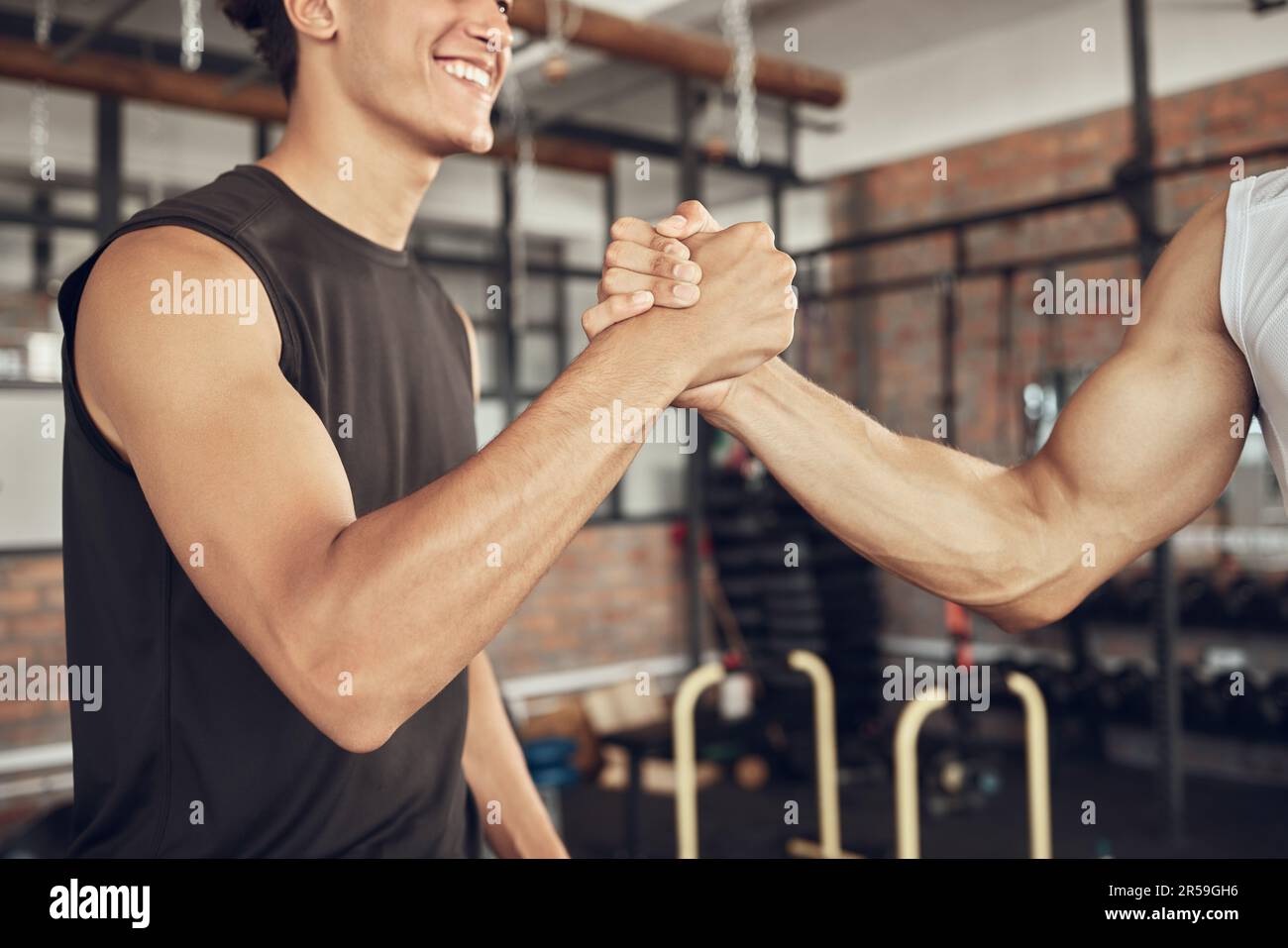 Training, handshake and people at a gym for fitness, agreement and deal ...