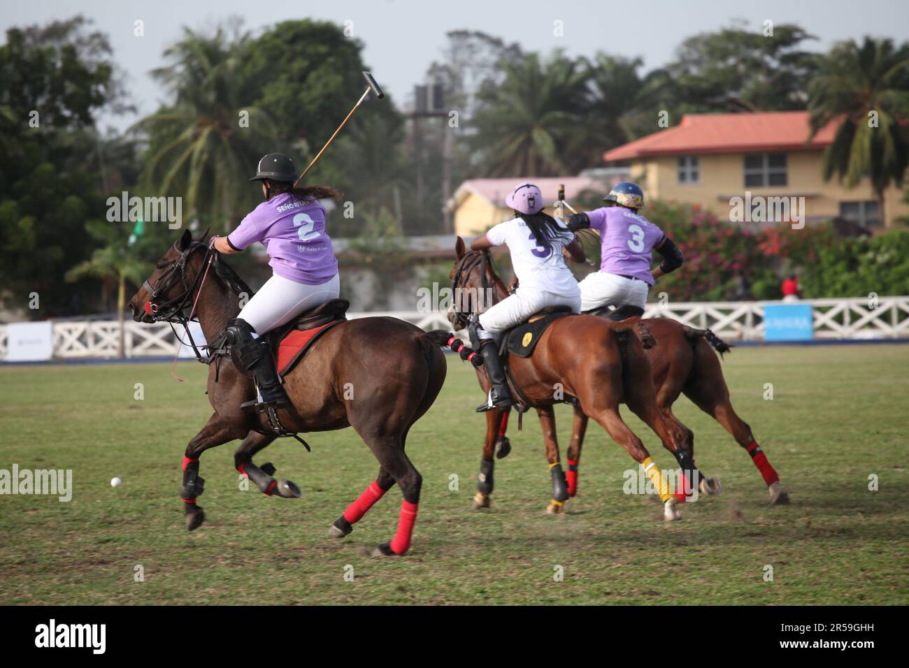 Polo players compete for the ball during the Ladies Polo invitation ...