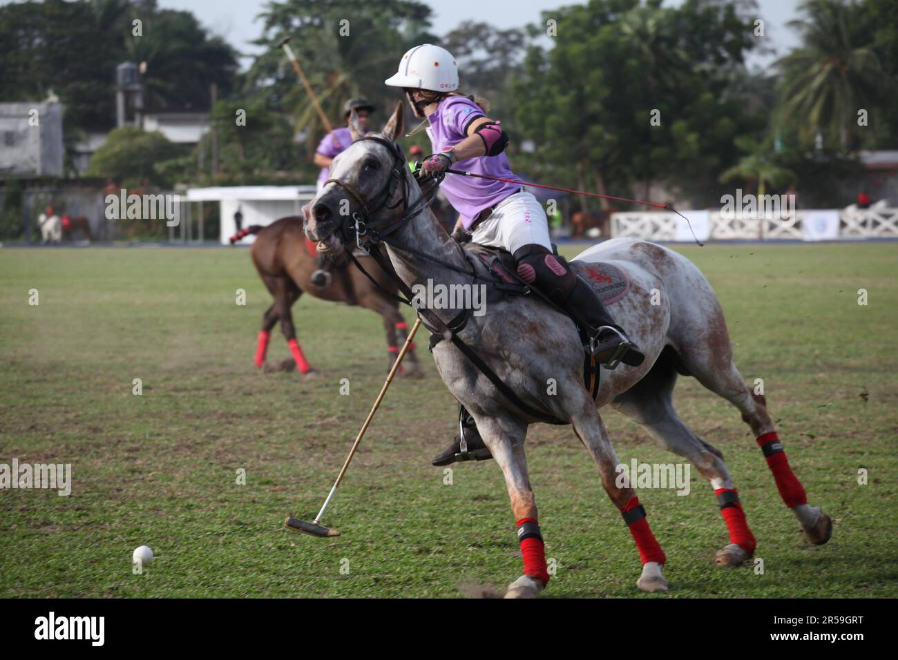 Polo players compete for the ball during the Ladies Polo invitation ...